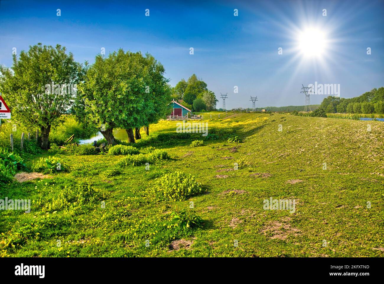 Beautiful farm landscape with trees and grass fields, Amsterdam ...