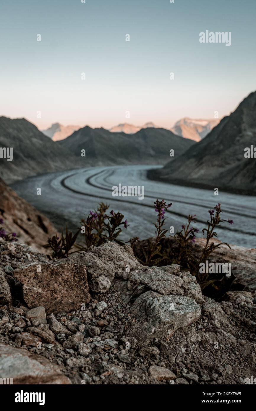 A vertical shot of the snowy rocky mountains under an evening sky in ...