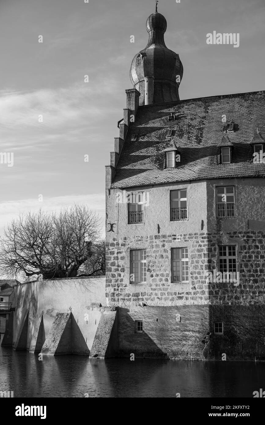 German forest in autumn tree Black and White Stock Photos & Images - Alamy