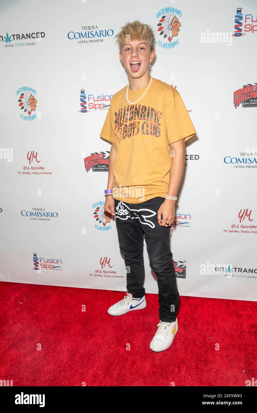 Los Angeles, USA. 19th Nov, 2022. Stefan Benz attends 2022 American ...