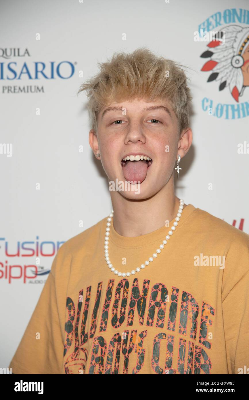 Los Angeles, USA. 19th Nov, 2022. Stefan Benz attends 2022 American ...