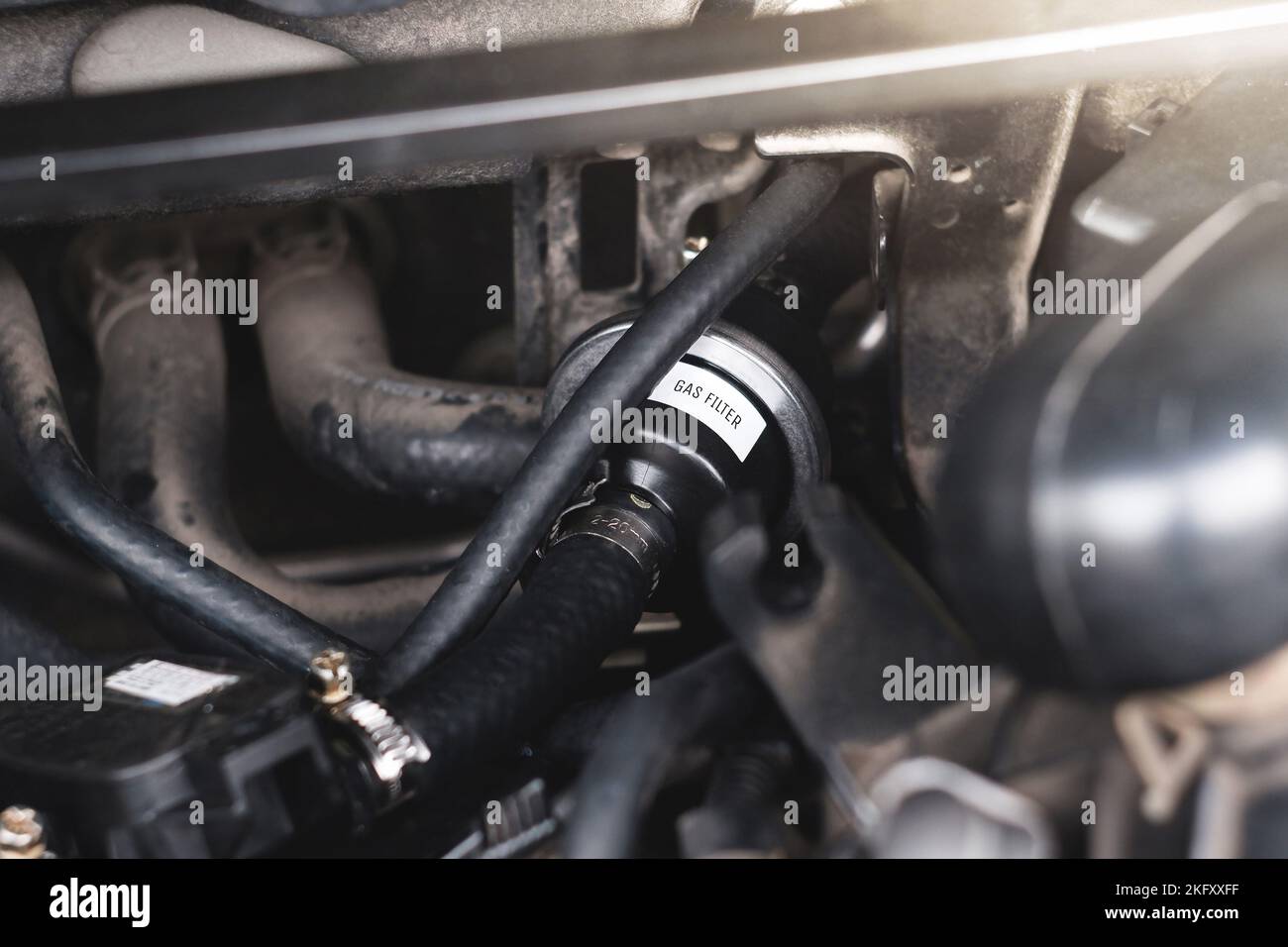 Gas fuel filter with a rubber tube of the car gas fuel system ...