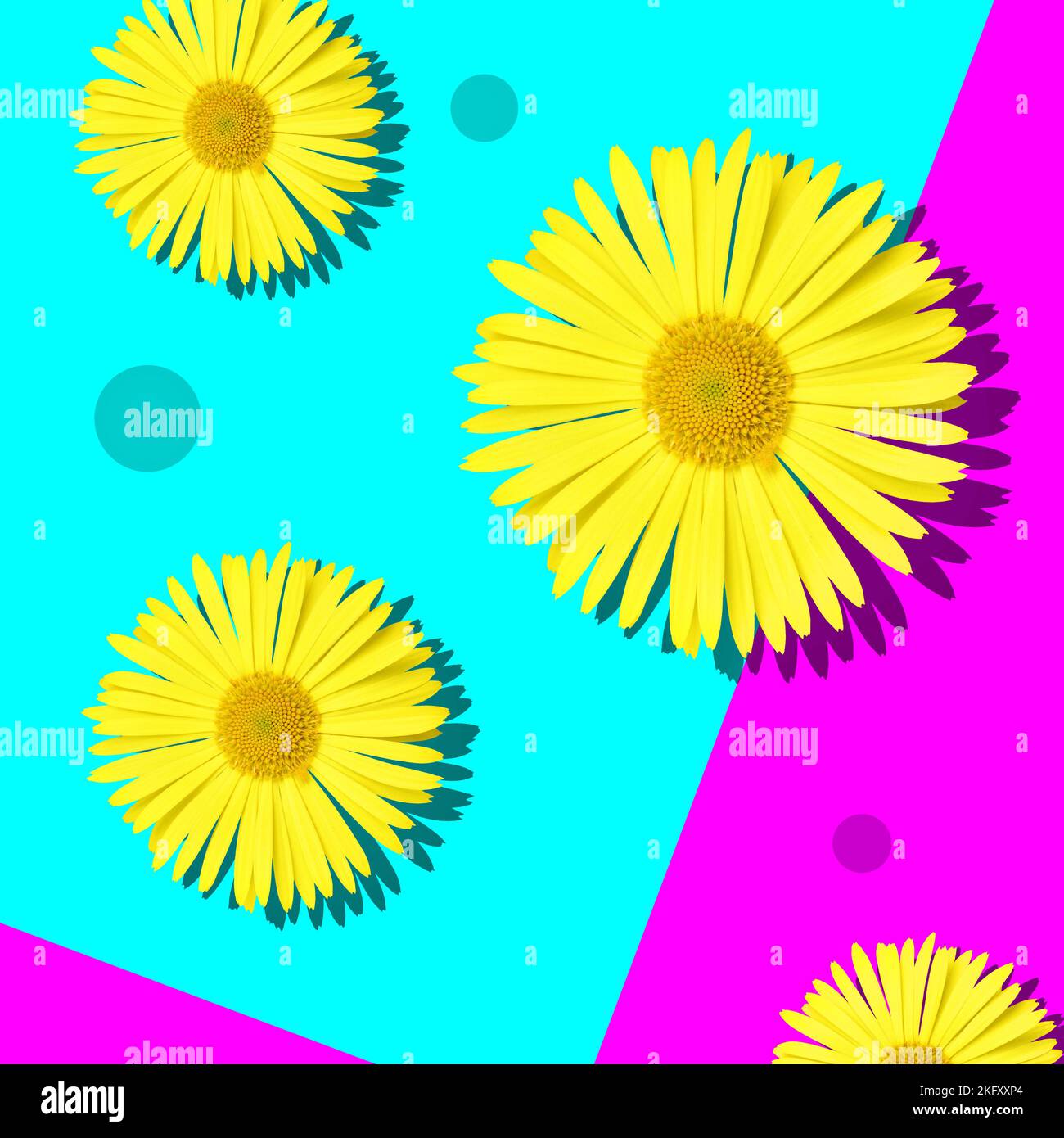Modern floral composition hi-res stock photography and images - Alamy