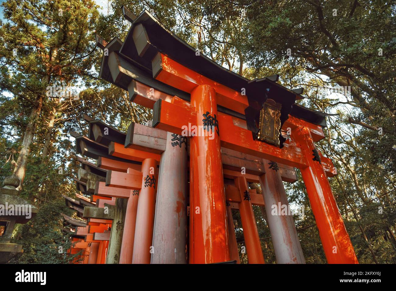 Senbon hi-res stock photography and images - Alamy