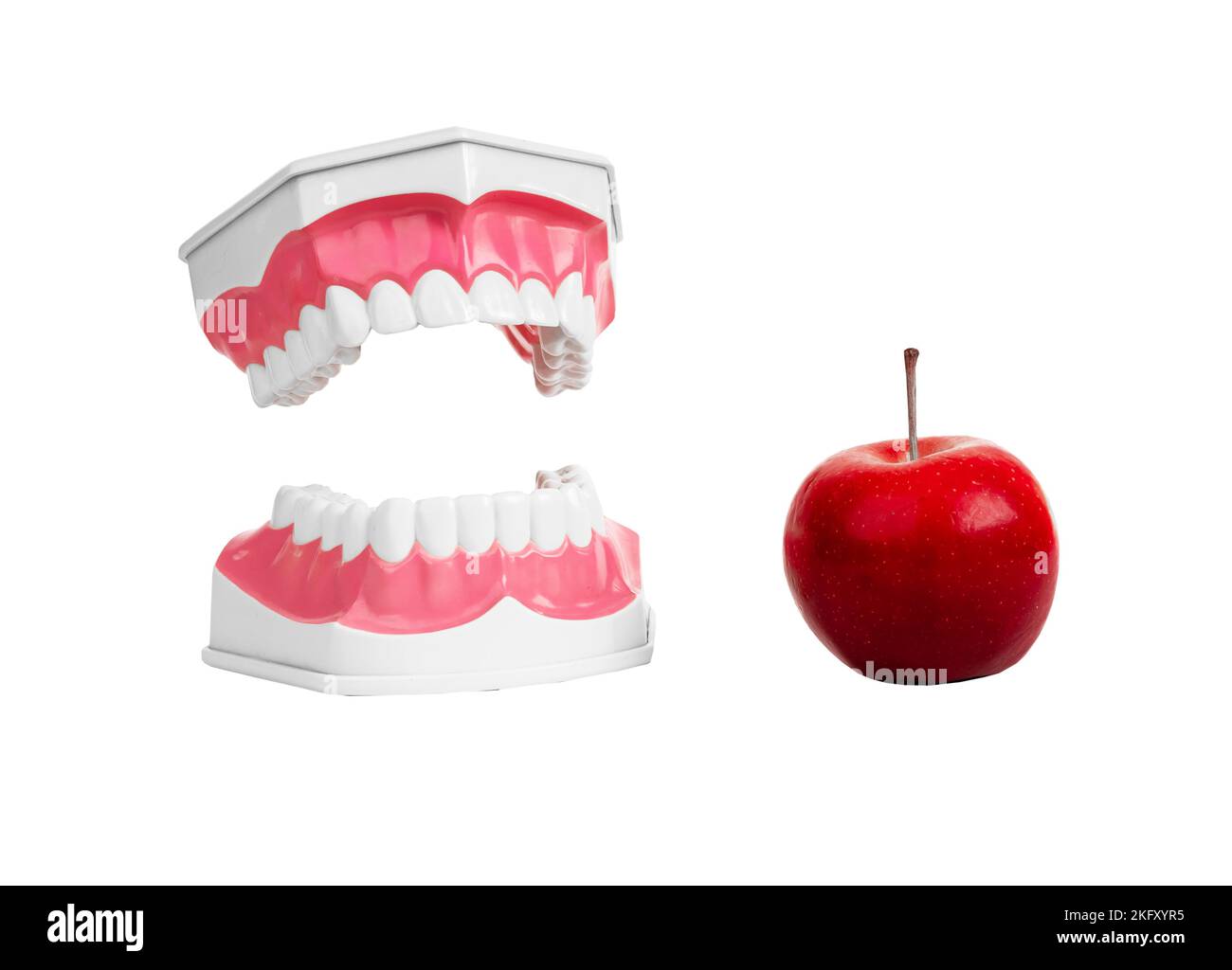 Teeth jaw with apple fruit isolated on white background. High quality ...