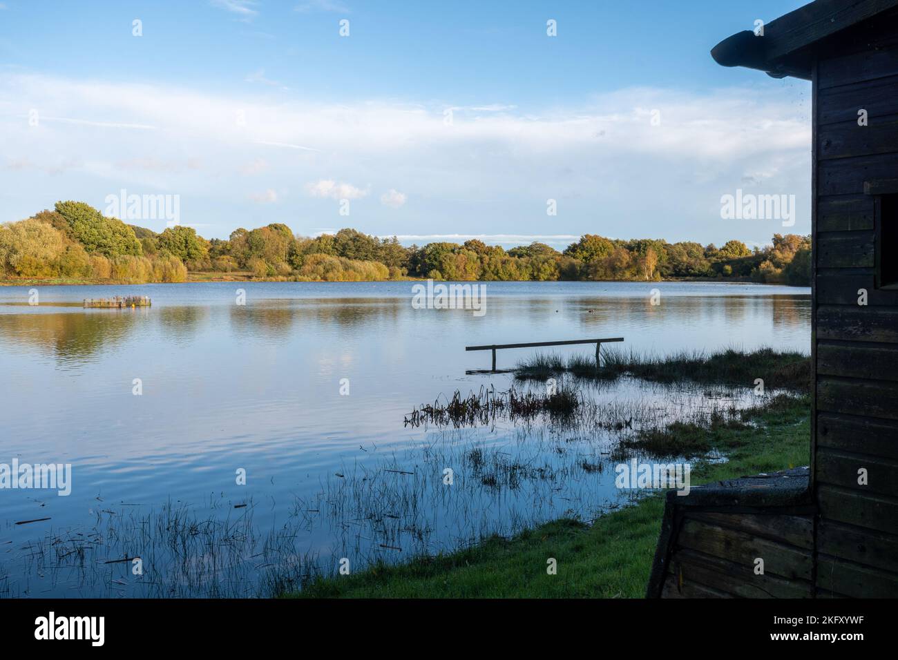 Moor Green Lakes Nature Reserve in Blackwater Valley, Berkshire ...