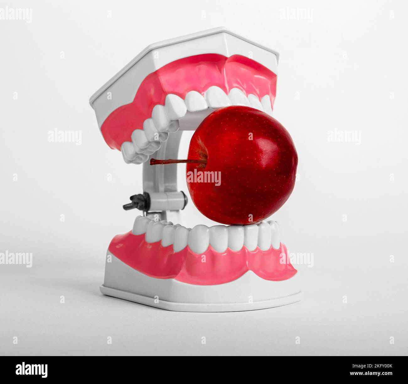 Whole tooth human hi-res stock photography and images - Alamy