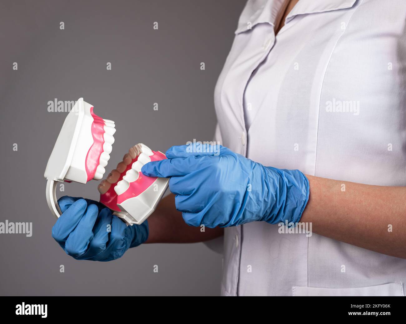 Dentist with teeth jaw model in hand. Dentistry and stomatology concept ...