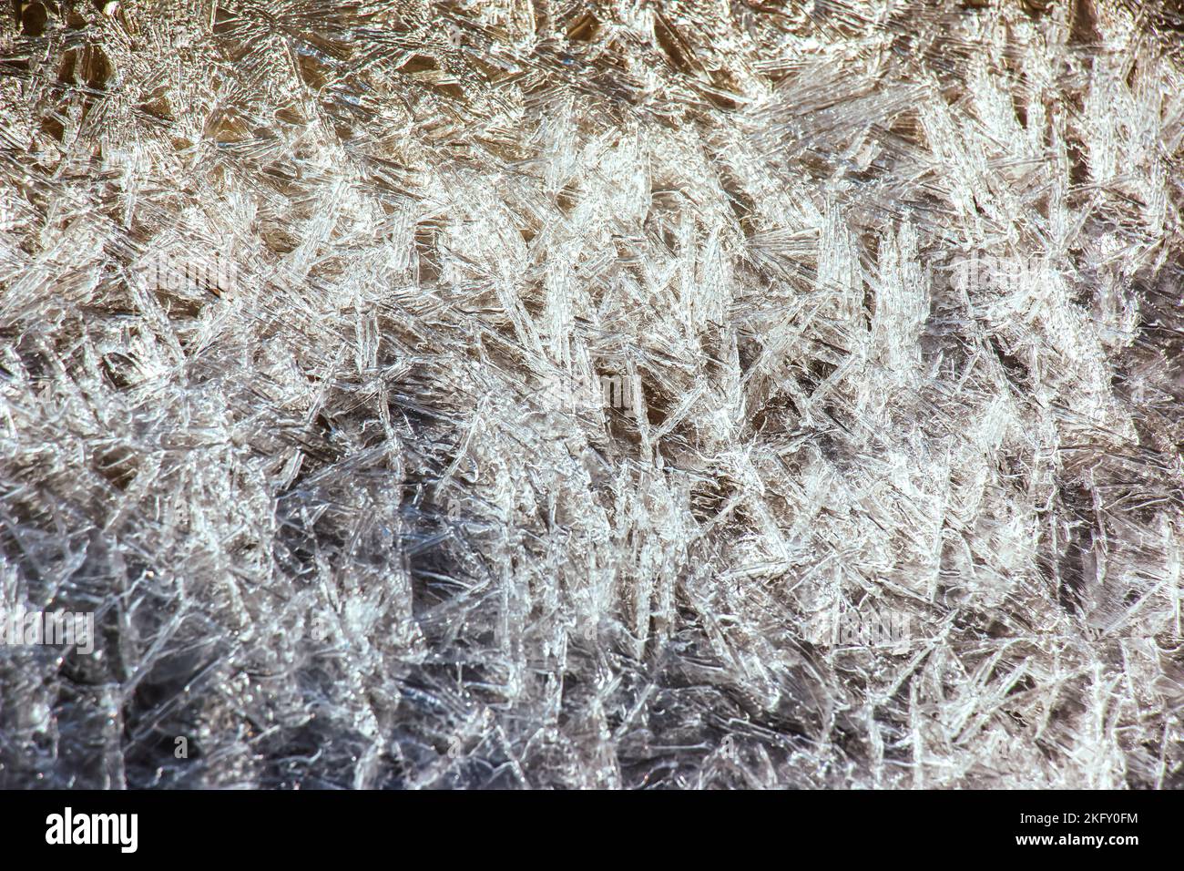 The surface of the river with algae covered with ice. Ice texture ...