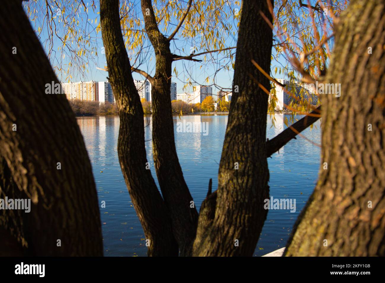 Summer day moscow cityscape forest hi-res stock photography and images ...