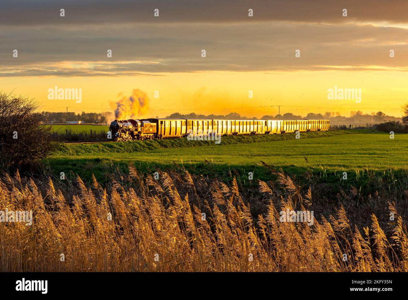 New romney hi-res stock photography and images - Alamy