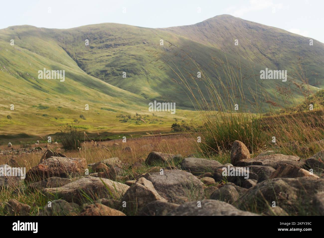 A view from the south eastern end of Loch Ba, Mull, Scotland. UK ...