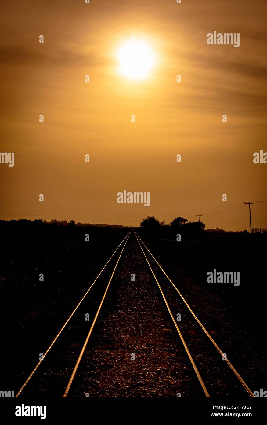 Parallel railway tracks of the 15" gauge Romney, Hythe & Dymchurch ...