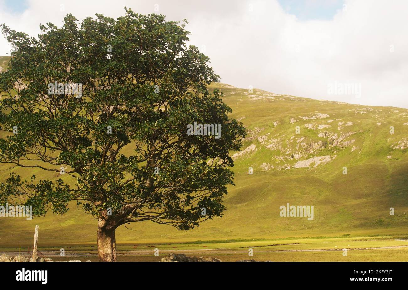 Wild, remote landscape at the southern end of Glen Cannel, Mull ...