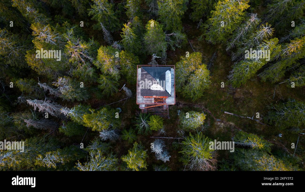 An aerial of a deep forest and a fire lookout tower surrounded by green ...