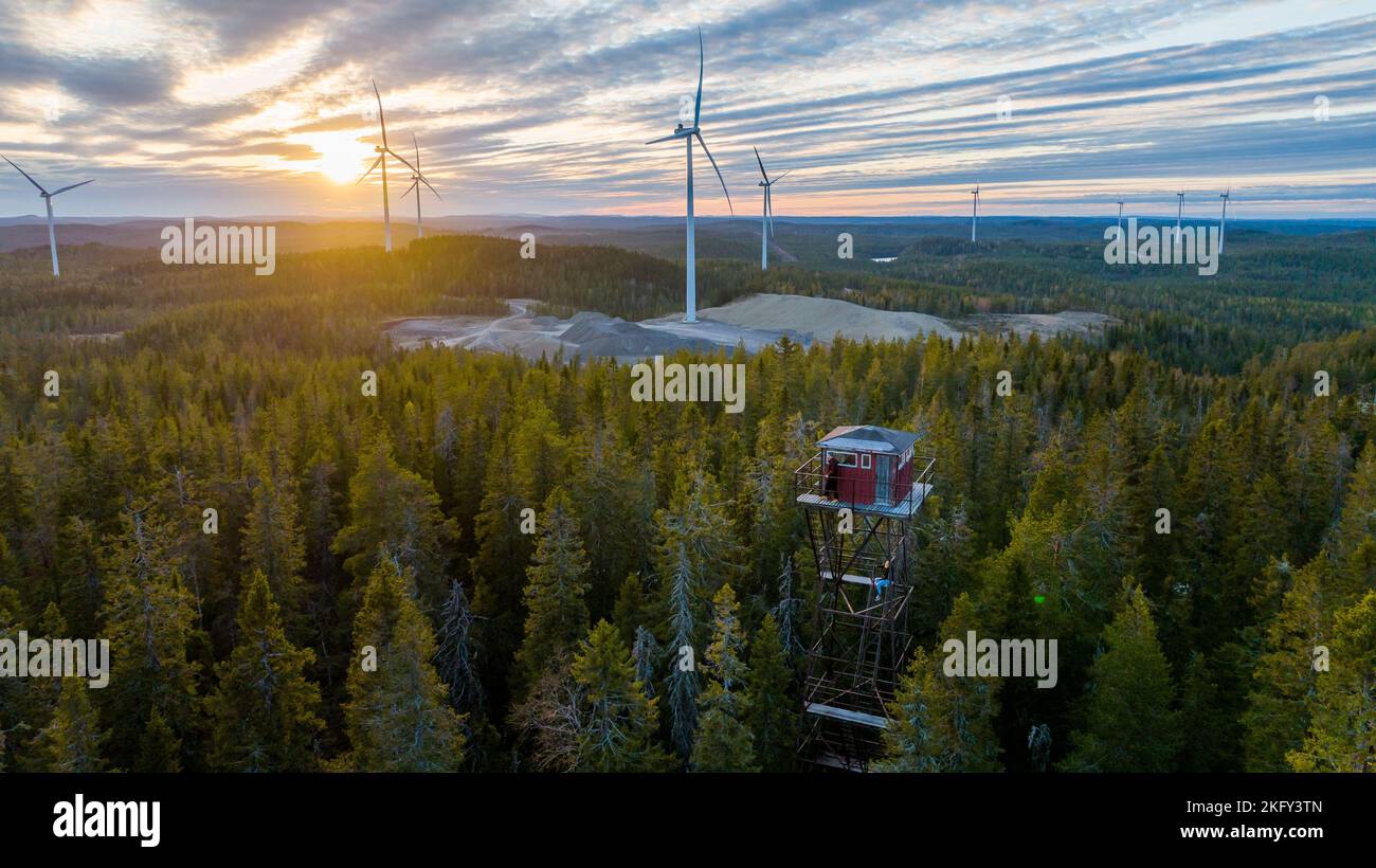 An aerial of a deep forest and a fire lookout tower surrounded by green ...
