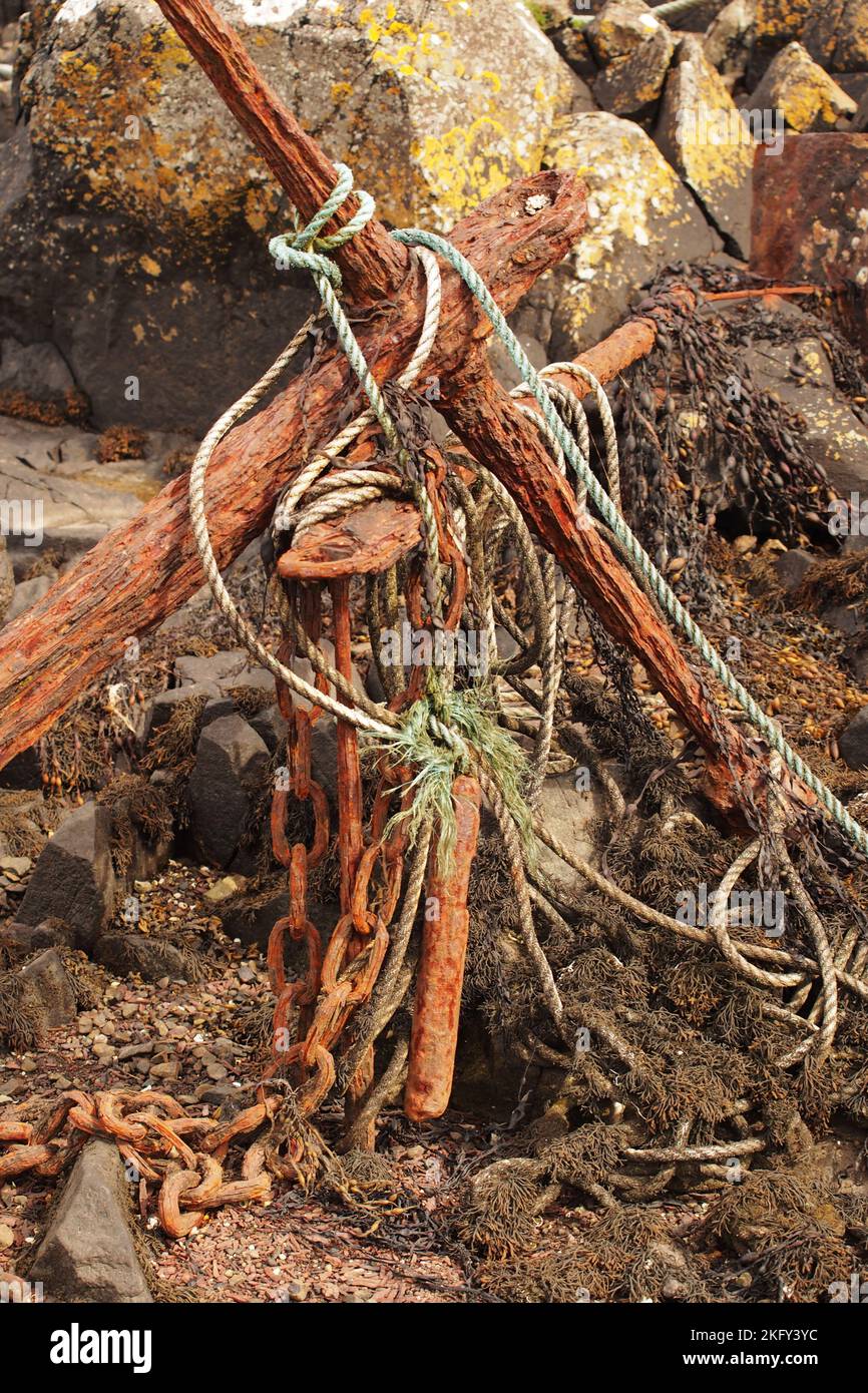 Tangled ropes and chains hanging from a rusty anchor with dried seaweed ...