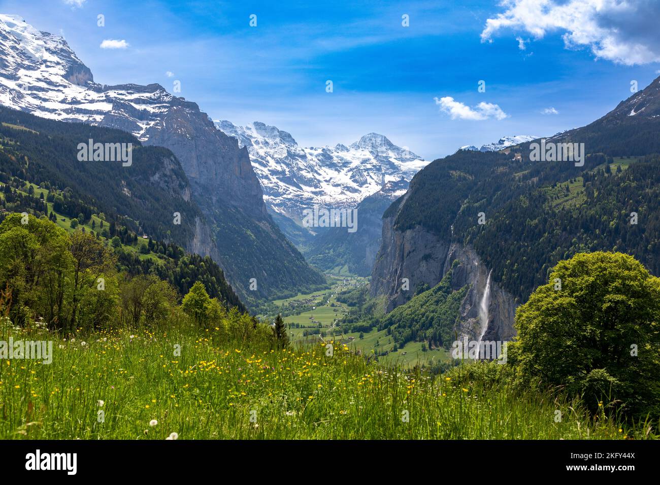 View of the Lauterbrunnen valley from the Wengwald area in the Swiss Alps in Switzerland. Patch ...
