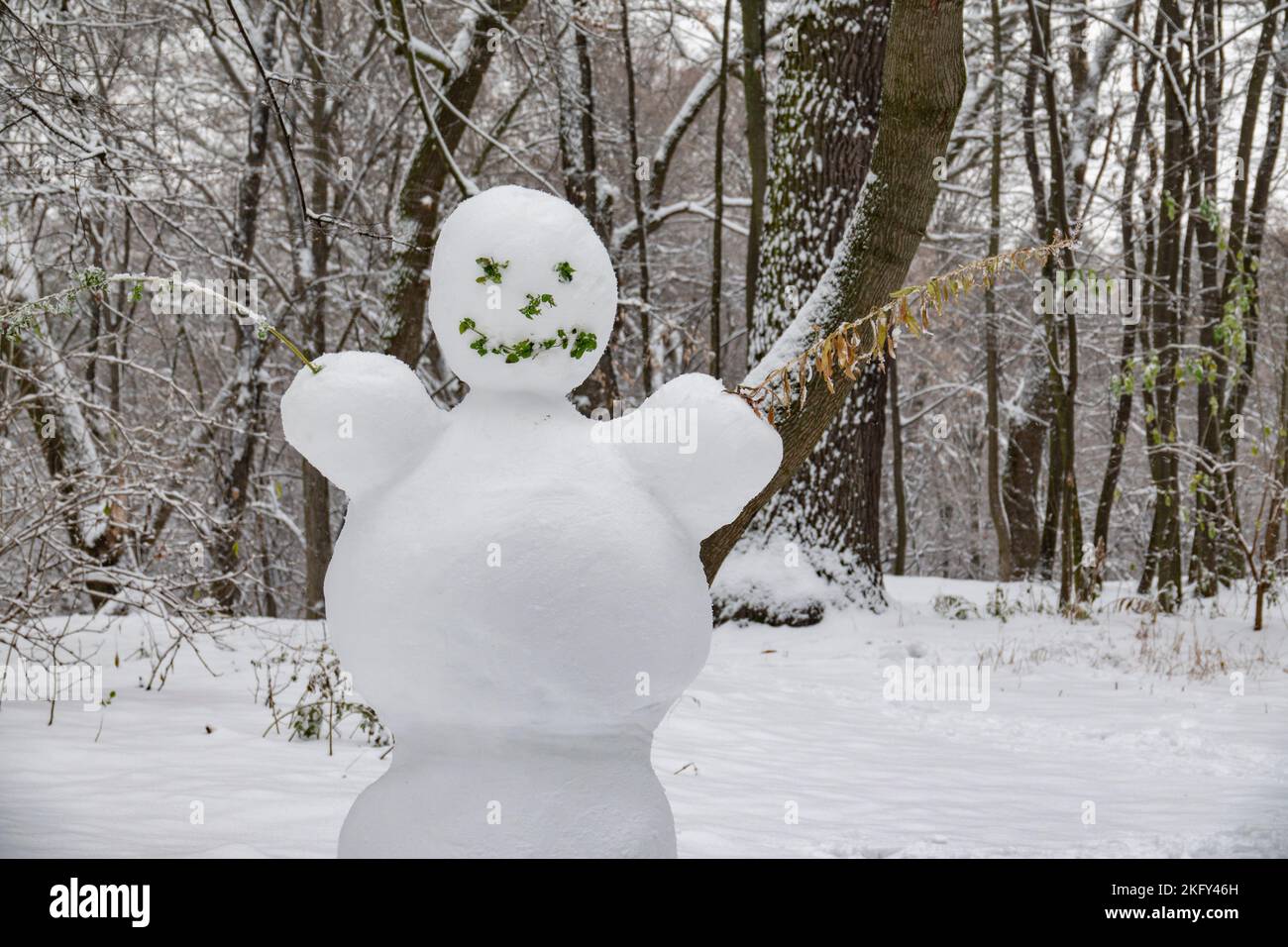 Funny snowman in the winter park. Symbol of winter season Stock Photo ...