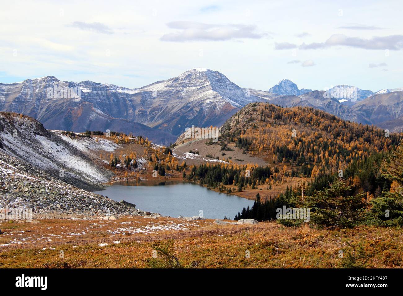 Fall larch trees, mountain ranges and alpine lakes Stock Photo - Alamy