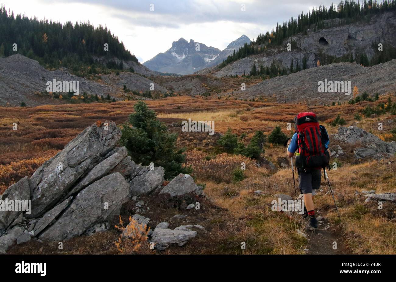 Wondering through the alpine meadows on the last leg of the backpacking ...