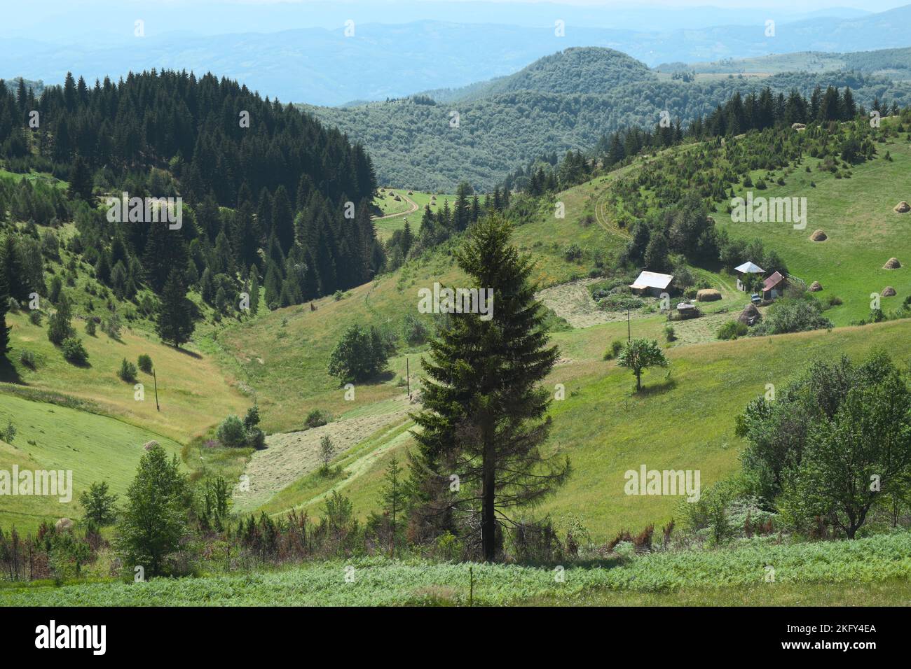 Alpine scene hi-res stock photography and images - Alamy