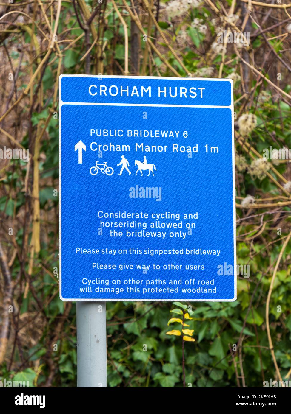 Croham hurst hi-res stock photography and images - Alamy
