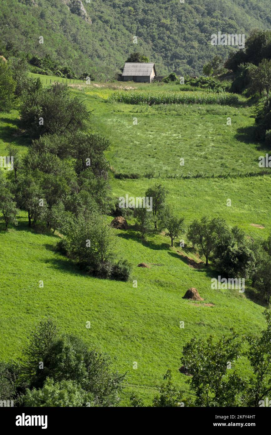 Sjenica hi-res stock photography and images - Alamy