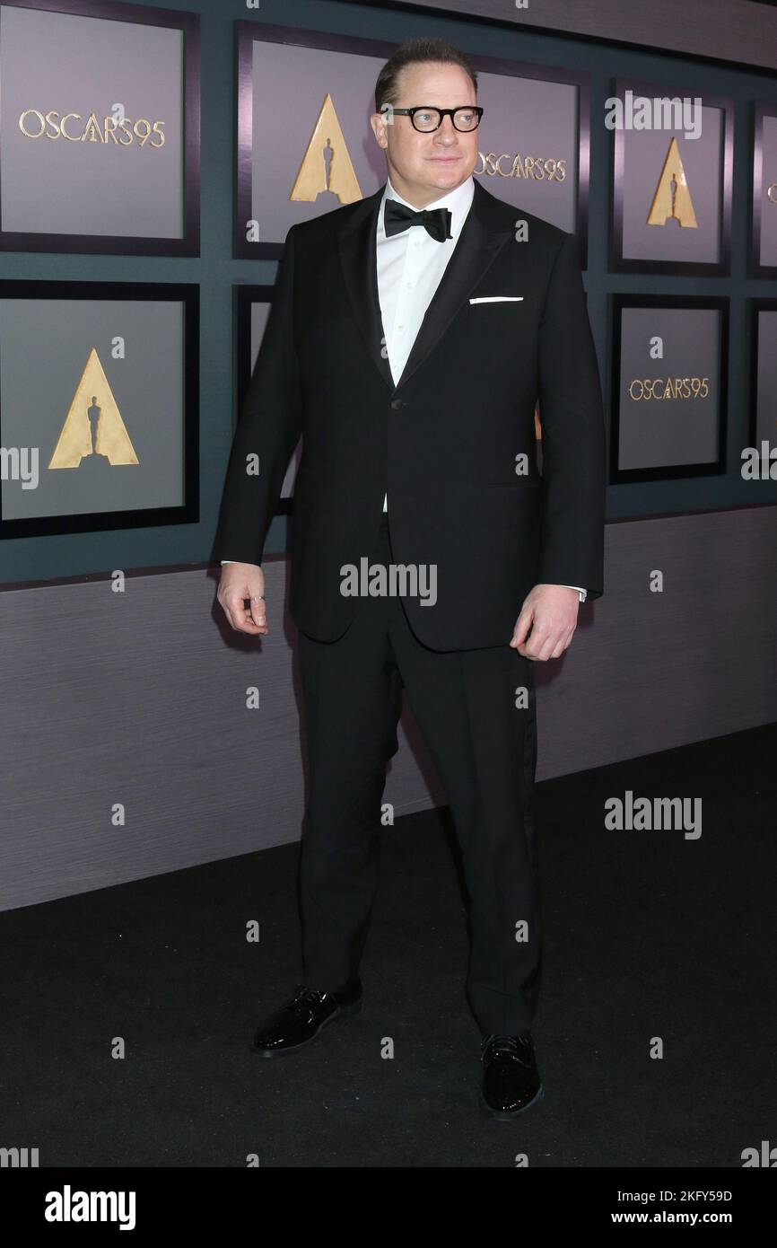 LOS ANGELES - NOV 19: Brendan Fraser at the 13th Governors Awards at ...