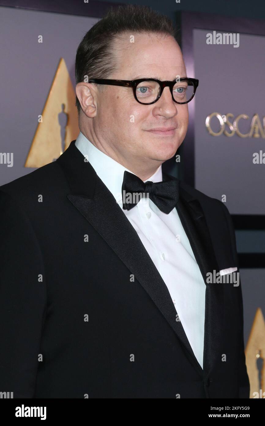 LOS ANGELES - NOV 19: Brendan Fraser at the 13th Governors Awards at ...