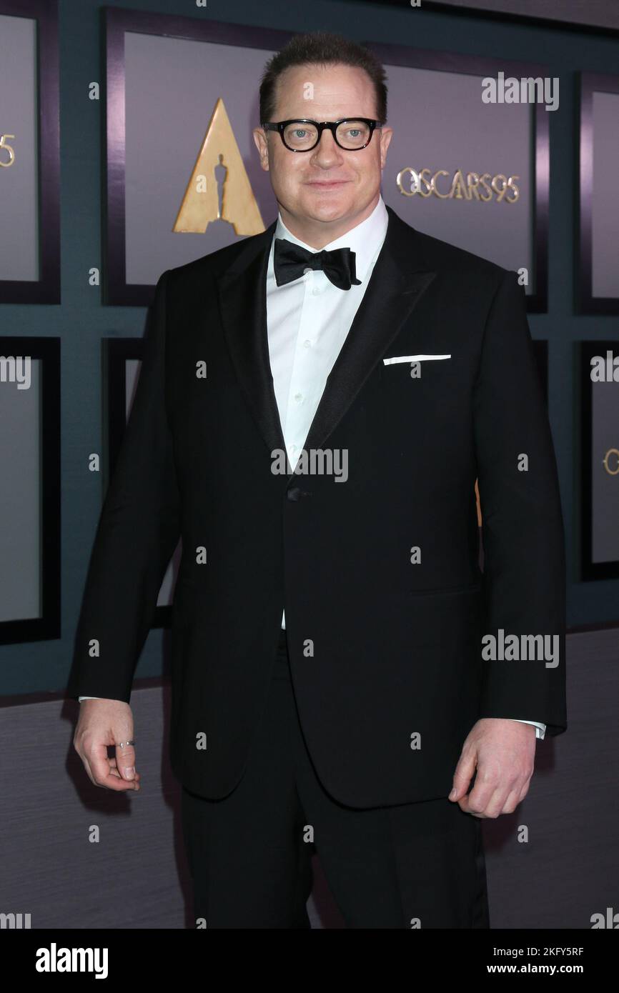 LOS ANGELES - NOV 19: Brendan Fraser at the 13th Governors Awards at ...