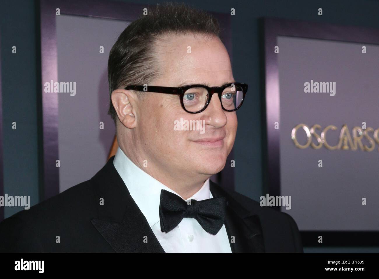 LOS ANGELES - NOV 19: Brendan Fraser at the 13th Governors Awards at ...