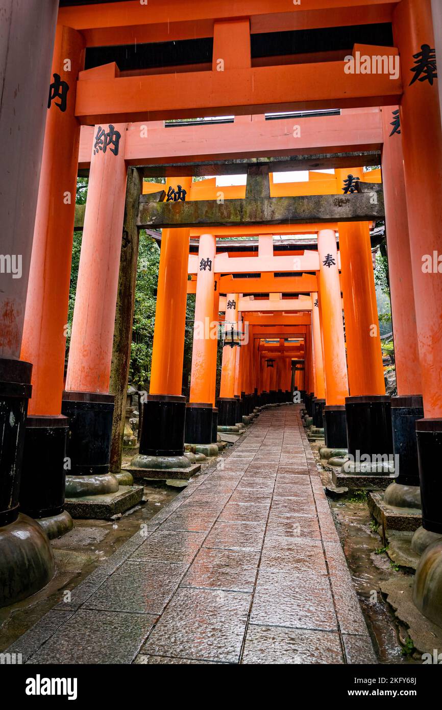 Famous red gates at Fushimi Inari Taisha in Kyoto Japan nobody Stock ...