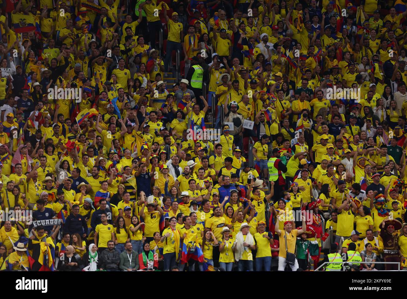 Al Khor, Qatar. 20th Nov, 2022. Ecuador fans (ECU) Football/Soccer ...