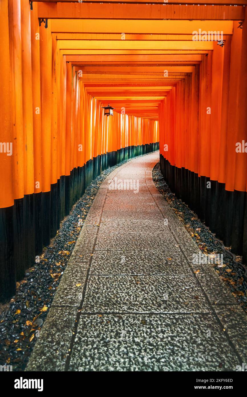 Famous red gates at Fushimi Inari Taisha in Kyoto Japan nobody Stock ...
