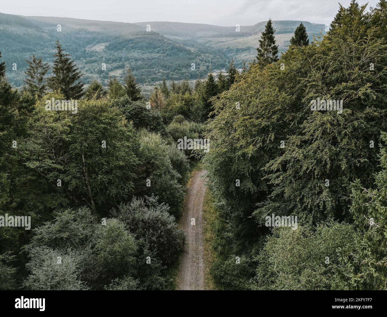 An aerial of a trail through a beautiful forest Stock Photo - Alamy