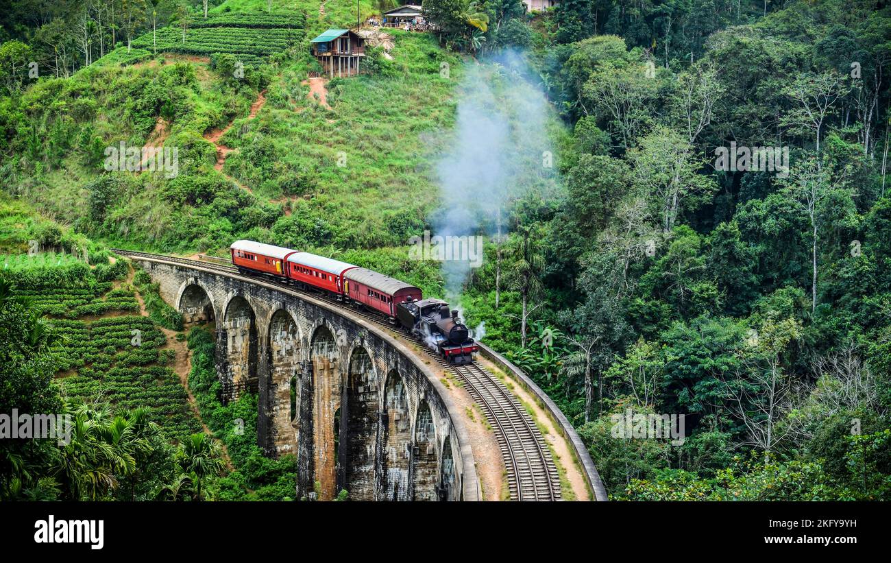 The Loc Train on Ella Nine Arch Bridge Stock Photo - Alamy