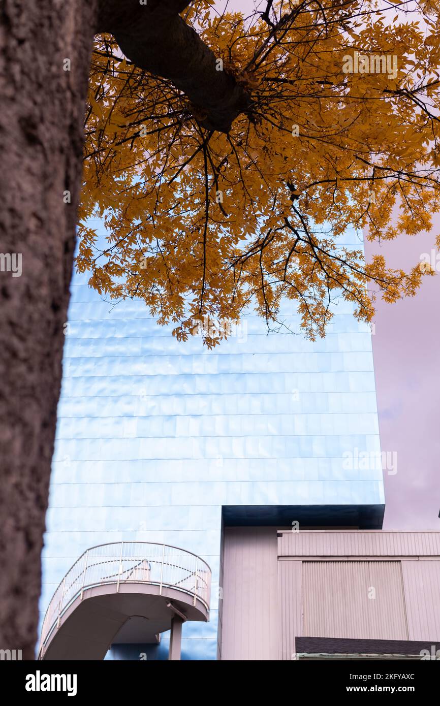 Buildings in landscape leaf hi-res stock photography and images - Alamy