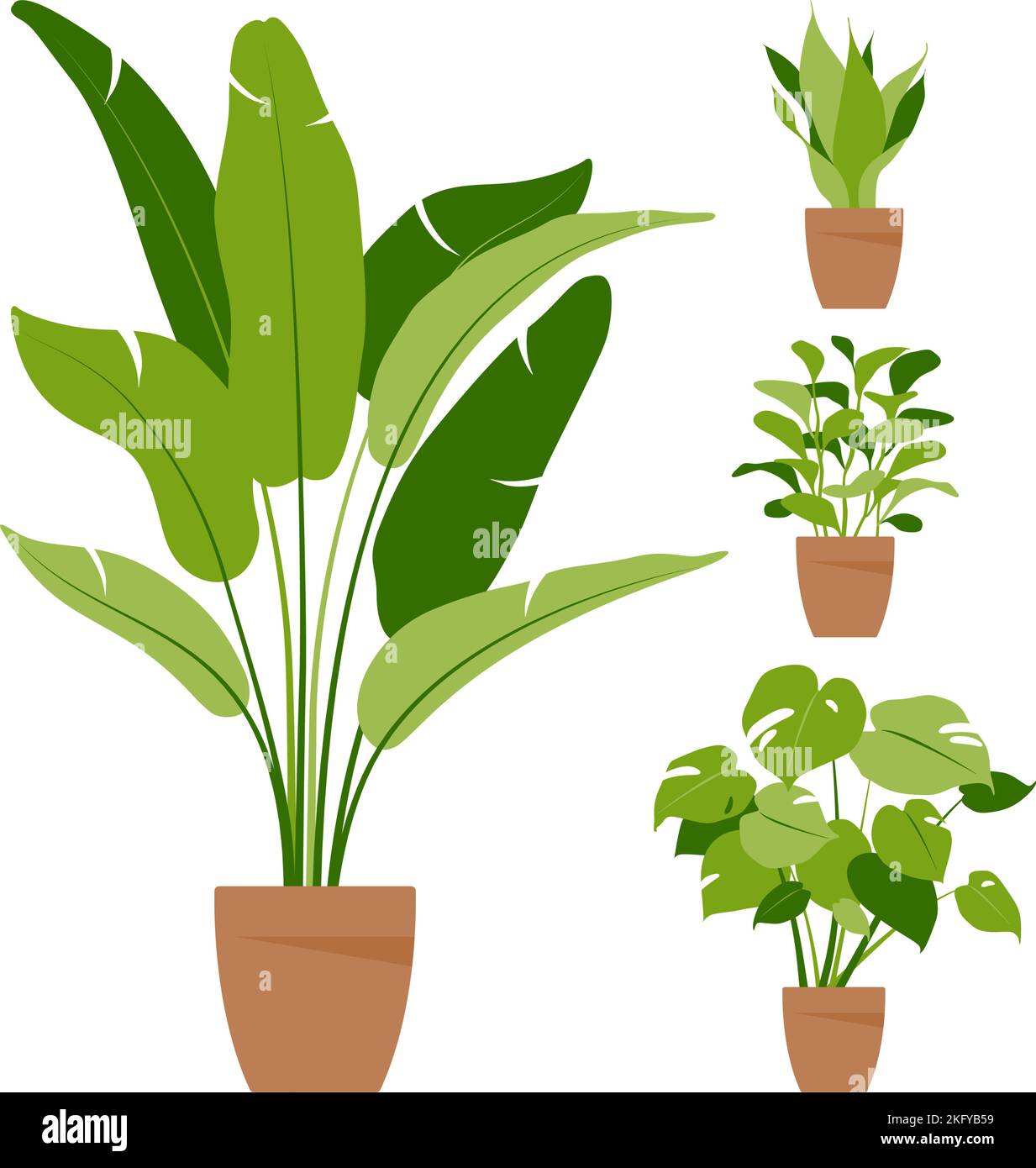 Collection home plants. Potted plants isolated on white. Vector set ...