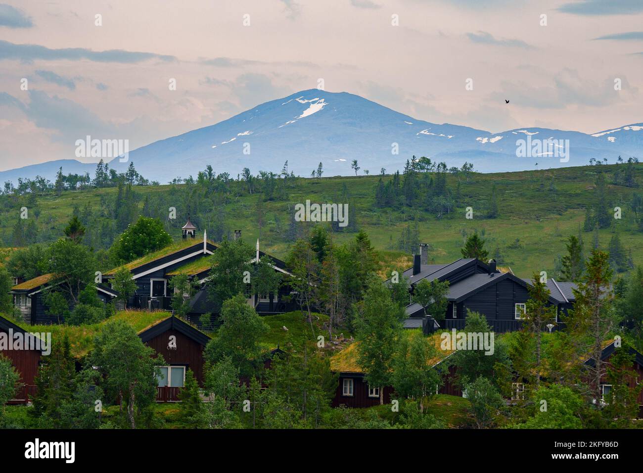 The Norwegian ski resorts with grass roofs captured in a rural ...