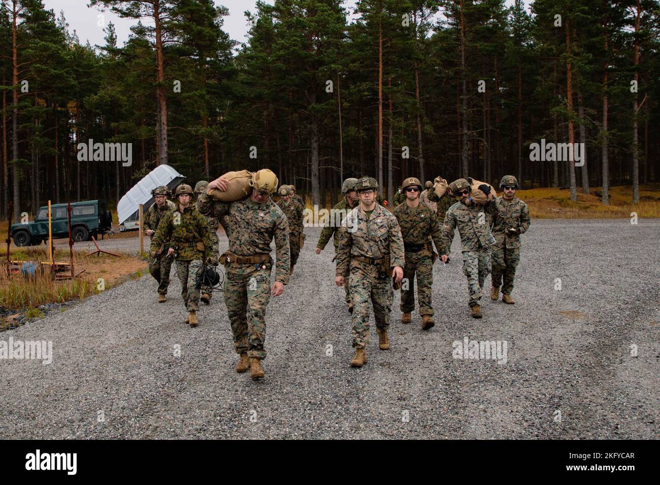U.S. Marines with Combat Logistics Battalion 6 (CLB-6), Combat ...