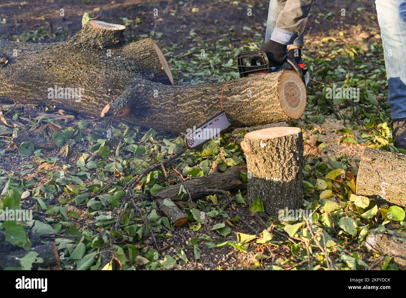 Man chainsaw sawdust fly hi-res stock photography and images - Alamy