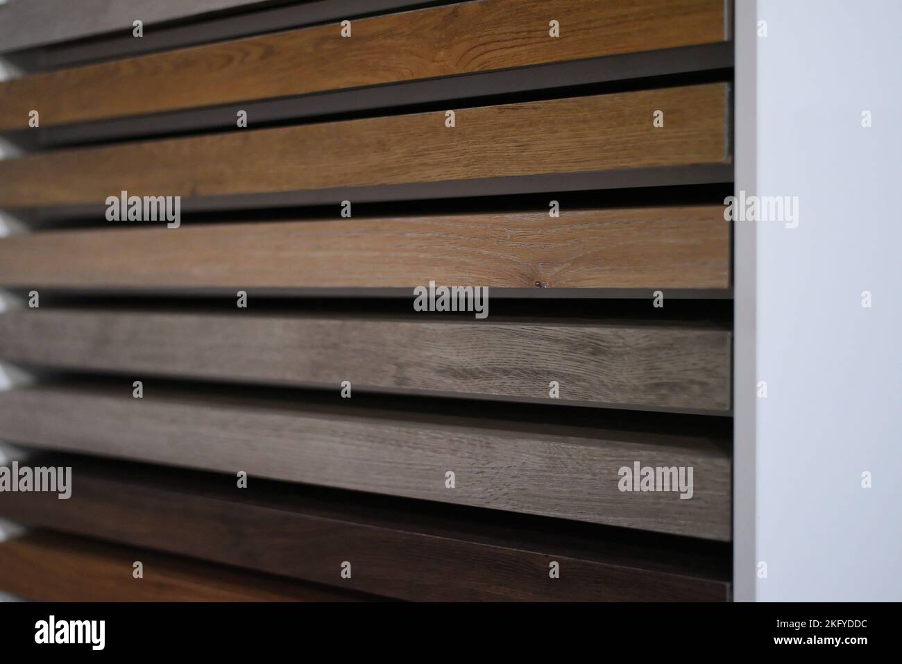 Realistic different color wooden boards. Office and home floor textures ...
