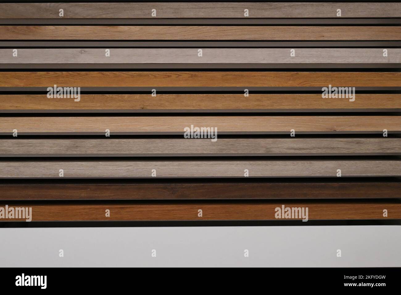 Realistic different color wooden boards. Office and home floor textures ...