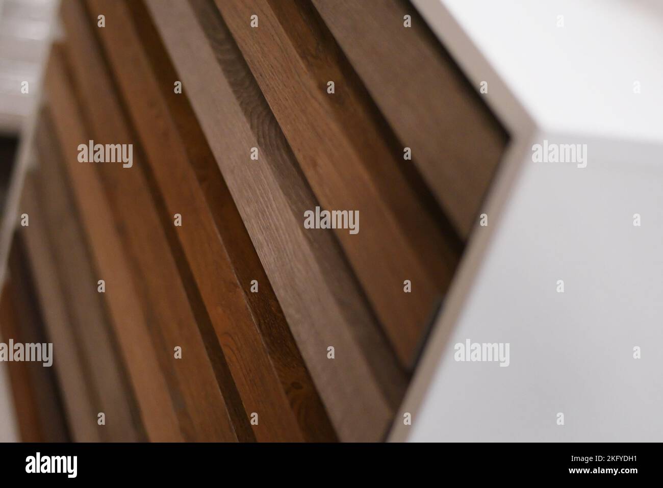 Realistic different color wooden boards. Office and home floor textures ...