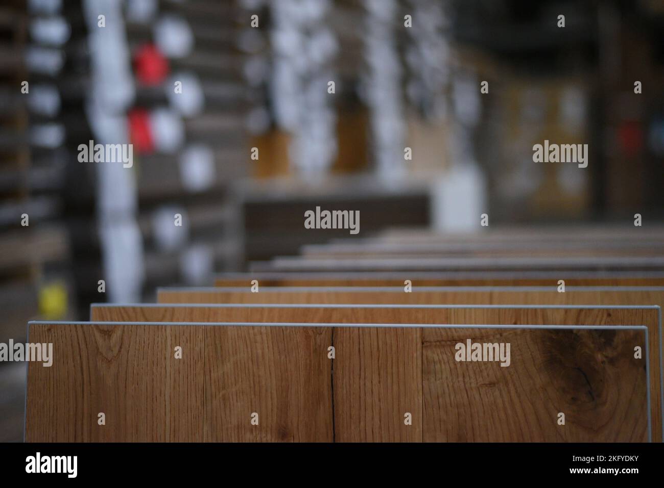 Realistic different color wooden boards. Office and home floor textures ...