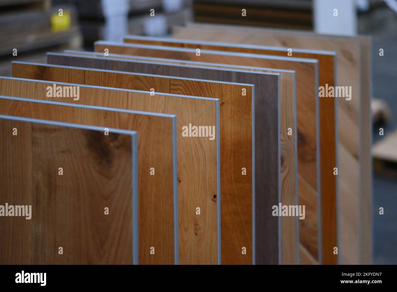 Realistic different color wooden boards. Office and home floor textures ...