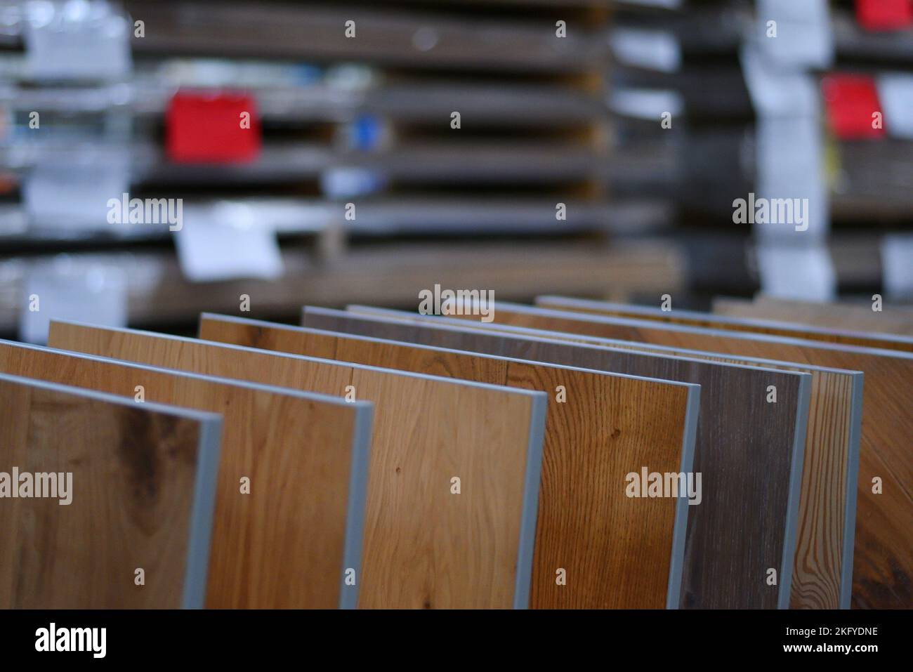 Realistic different color wooden boards. Office and home floor textures ...