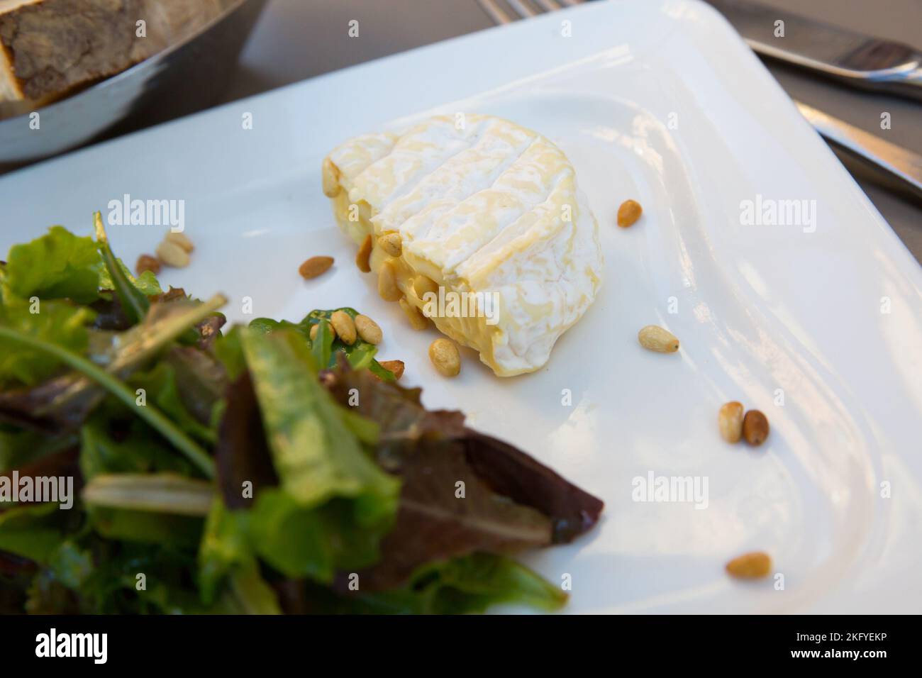Cheese Saint Marcellin with pine nuts Stock Photo - Alamy