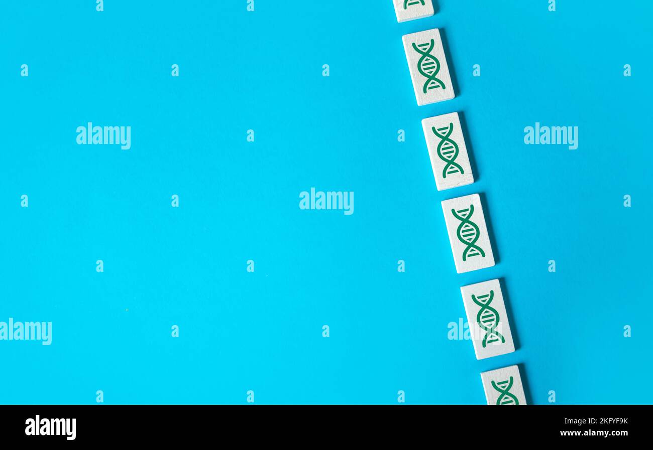 DNA chains on blocks, concept. Medicine and healthcare. The study of ...